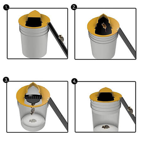 Bucket lid mouse trap FlipCatch