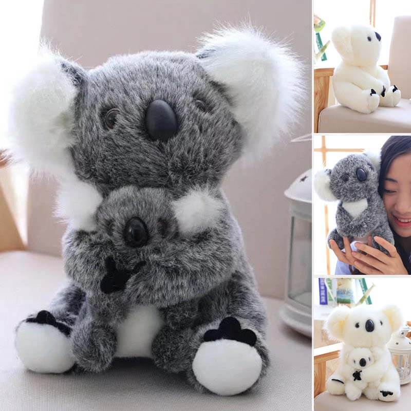 Kai the koala