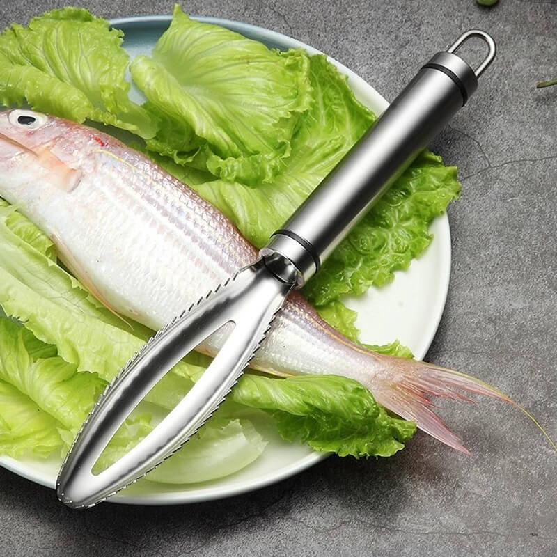 ScaleAid fish scale scraper