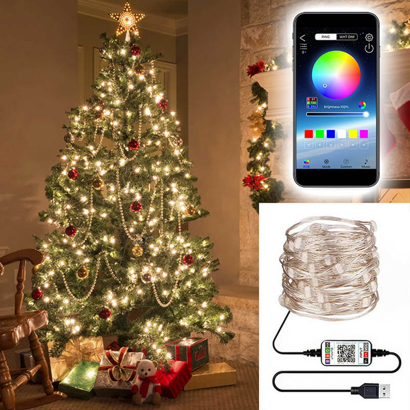 Smart Christmas LED lights set
