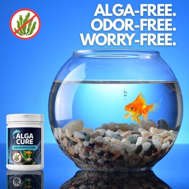 Καθαριστικό ενυδρείου AlgaCure (70 g)