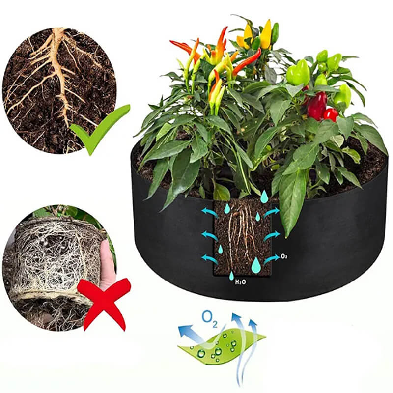 Pat ridicat pentru plante BeddyPlant™